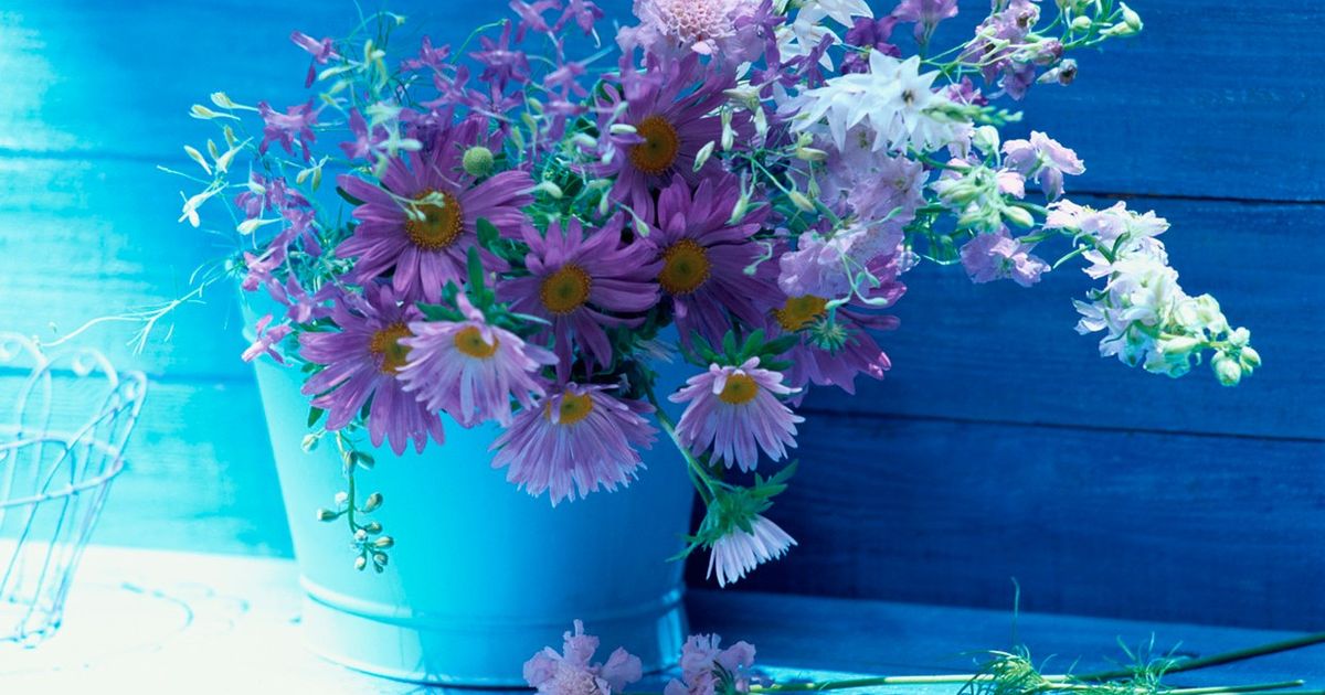 Luna na dan 9. 3. 2015 - Sensa.si