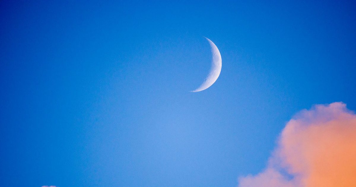 Sreda (7. 11.) - Lunin mlaj zdravi bolečine - Sensa.si