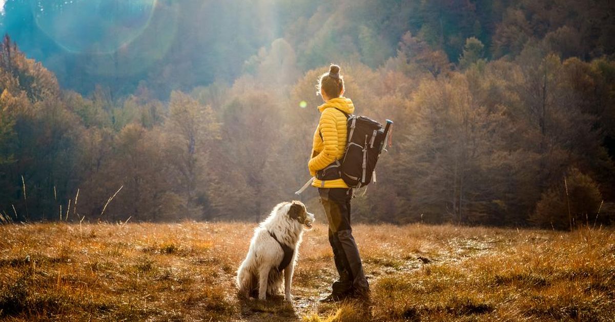 Horoskop: Katerim znamenjem se obeta zahteven teden? - Sensa.si