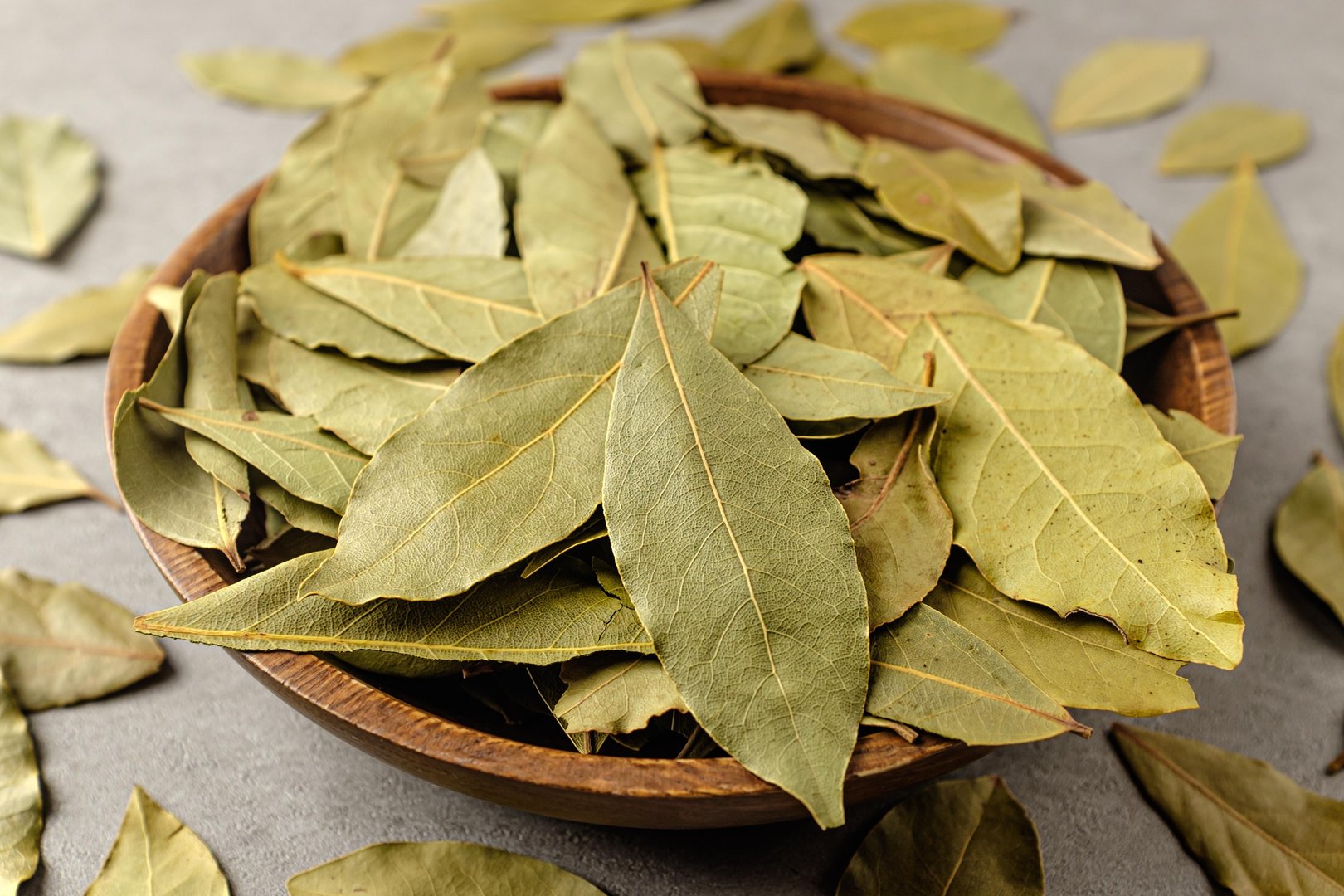 Zakaj naj bi položili to rastlino pod vzglavnik? - Zdrave odločitve ...