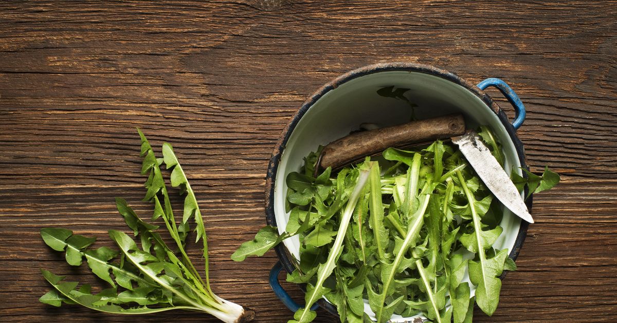 Pognal je prvi REGRAT – ali poznate njegove številne koristi za zdravje ...