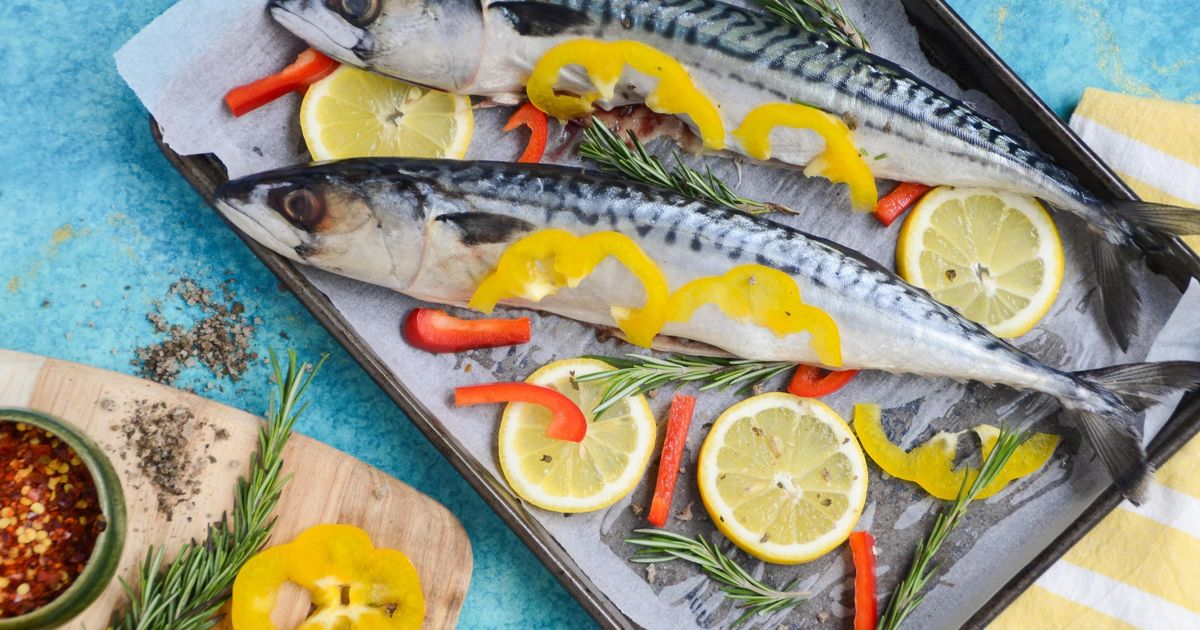 TO naj bi bila najbolj zdrava RIBA - Sensa.si