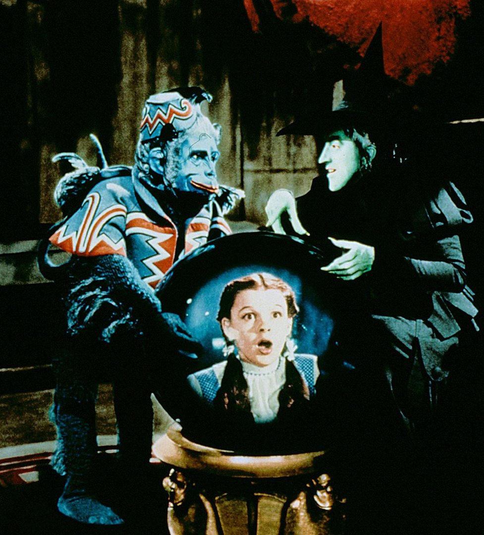 Kaj pomeni izraz 'leteče opice', ko govorimo o narcizmu - Sensa.si