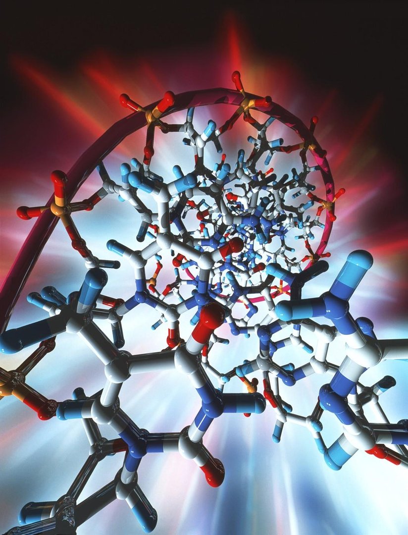 Kako (na novo) programirati svojo DNK in se pozdraviti z lastno močjo ...