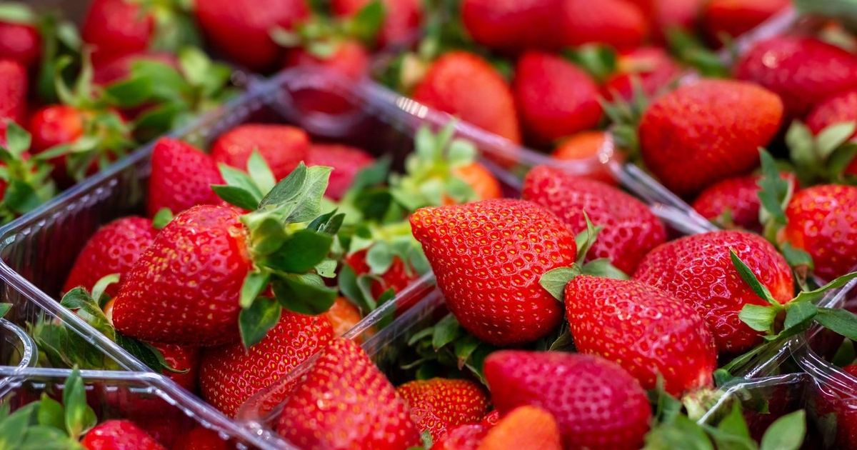 Ne pustite se pretentati: tako boste takoj vedeli, ali so JAGODE res DOMAČE - Sensa.si