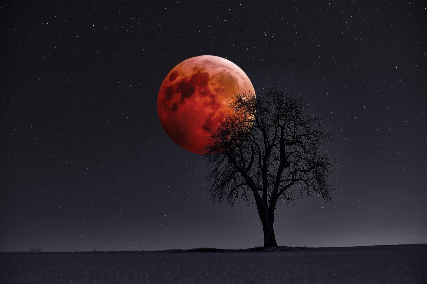 Horoskop: Kako bo na vaše znamenje vplival LUNIN MRK? - Sensa.si